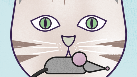 Cat Mouse GIF by brnrd - Find & Share on GIPHY