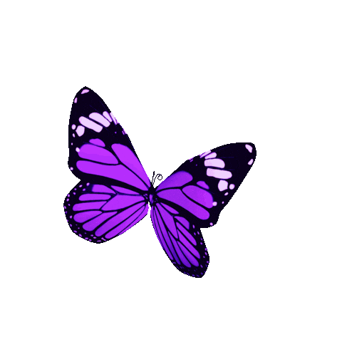 Pink Butterfly Gif