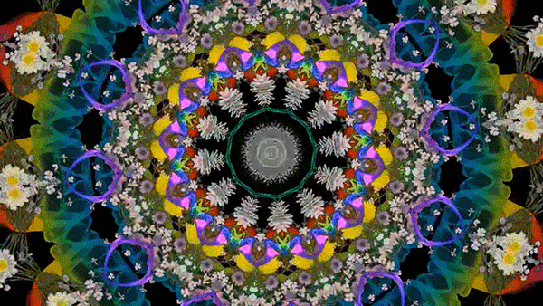 Fractals GIF - Find & Share on GIPHY