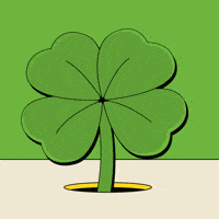 Shamrock Animated Gif Loop