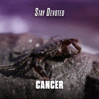 Cancer-zodiac GIFs - Get the best GIF on GIPHY