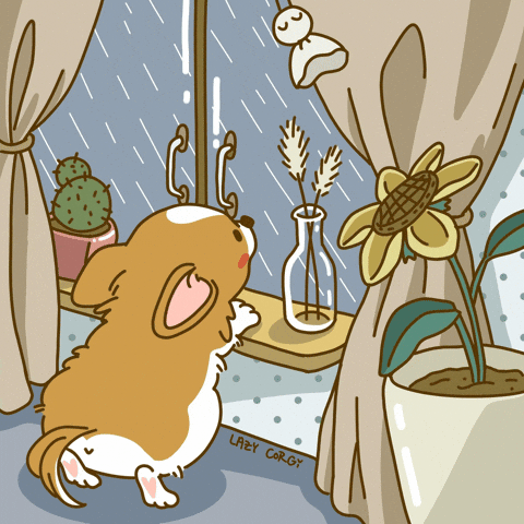 Rain Storm GIF by Lazy Corgi - Find & Share on GIPHY