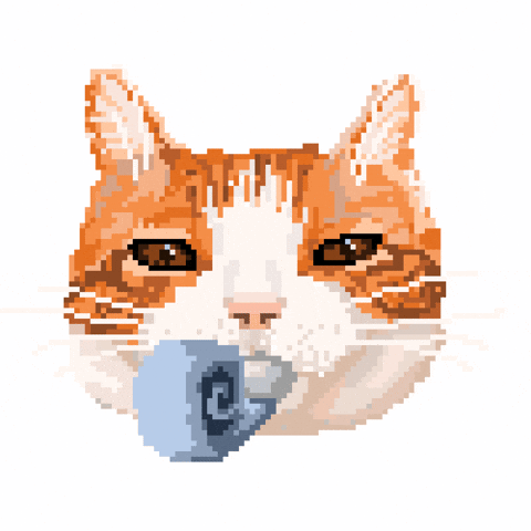 Cat Celebrate GIF - Find & Share on GIPHY