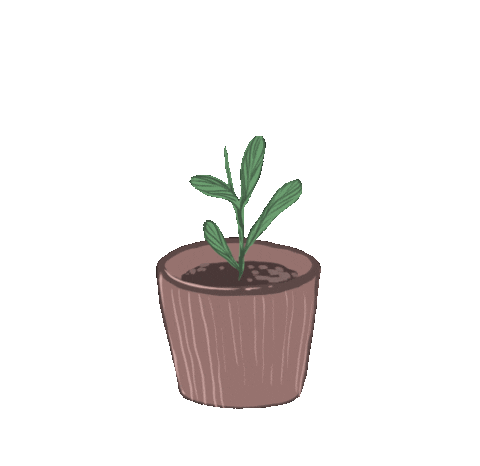 Growing Plant Gif