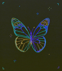Flying Butterfly Animation Gif