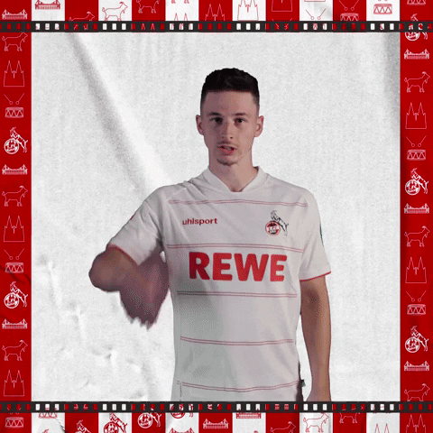 1 Fc Cologne Football GIF by 1. FC Köln - Find & Share on GIPHY
