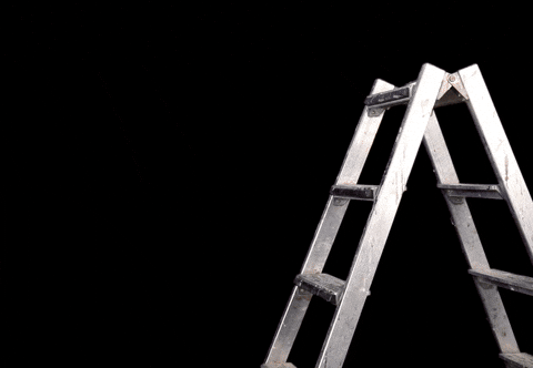 Red Knights Tübingen GIFs on GIPHY - Be Animated