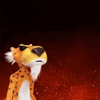 Cheetah Gif