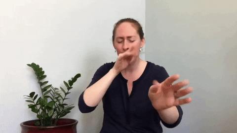 Asl Speak GIF - Find & Share on GIPHY