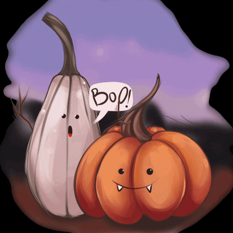 Pumpkin Boo GIF - Find & Share on GIPHY