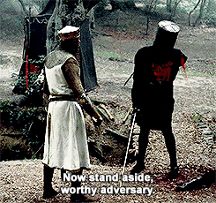 Monty Python Black Knight GIFs - Find & Share on GIPHY