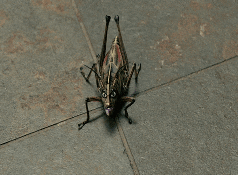 Locust Swarm Gif