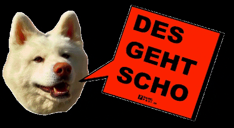 Hund-geht GIFs - Get the best GIF on GIPHY