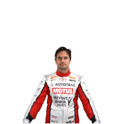 Nelson Piquet Jr GIFs on GIPHY - Be Animated