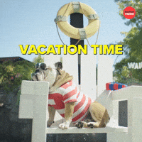 Funny Vacation GIFs - Find & Share on GIPHY