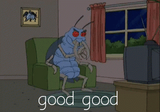 Arson Beetle GIFs - Get the best GIF on GIPHY