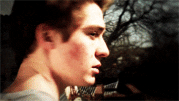 The Battle Of The Bugs GIFs - Get the best GIF on GIPHY