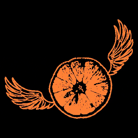 Angry Orange GIFs on GIPHY - Be Animated