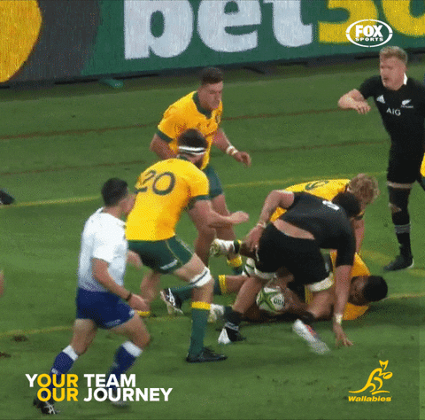 Wallabies Official GIFs on GIPHY - Be Animated