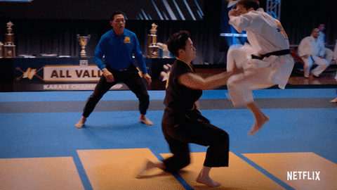 Cobra Kai Karate GIF by NETFLIX - Find & Share on GIPHY