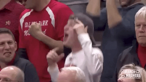 Funny Sports Fan Gifs