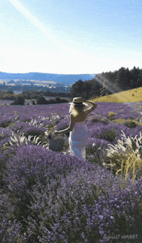 Girl Running In Field Of Flowers Gif