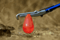 Slow Happy Realization Gif