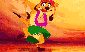Timon GIFs - Find & Share on GIPHY