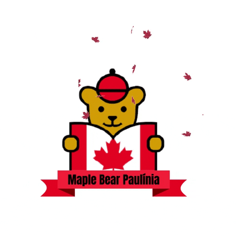 Maple-bear GIFs - Get the best GIF on GIPHY