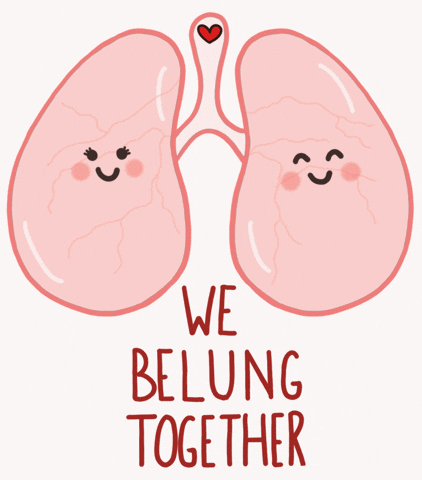 Otp-we-belong-together GIFs - Get the best GIF on GIPHY