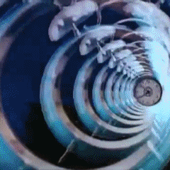Chessy Perfection GIFs - Get the best GIF on GIPHY