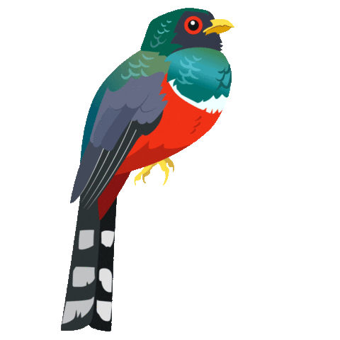Amazon Bird Sticker for iOS & Android | GIPHY