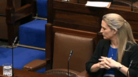 Sinn Féin GIFs on GIPHY - Be Animated