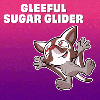 Zuckergleiter Taschen Gif Sugar Glider GIFs | Tenor