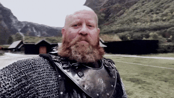 Viking Gifs GIFs on GIPHY - Be Animated