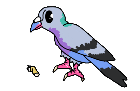 BIRDS GIFs on GIPHY - Be Animated