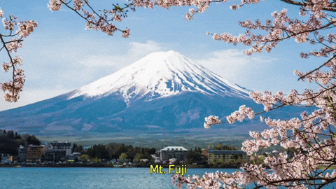 Japanese Culture GIFs - Get the best GIF on GIPHY