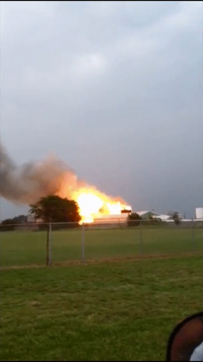 Explosion Plant GIF - Find & Share on GIPHY