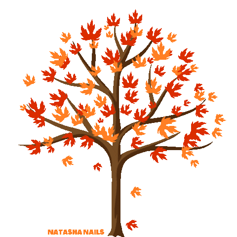 Leaves Falling From Tree Gif