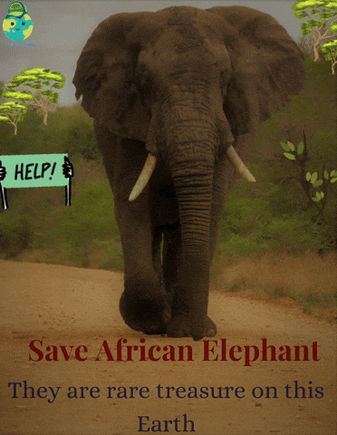 They-are GIFs - Get the best GIF on GIPHY