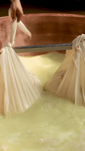 Cheese Parmesan GIF by Parmigiano Reggiano - Find & Share on GIPHY