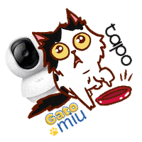 TP-Link GIFs on GIPHY - Be Animated