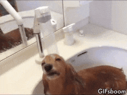 Refreshing GIFs - Find & Share on GIPHY