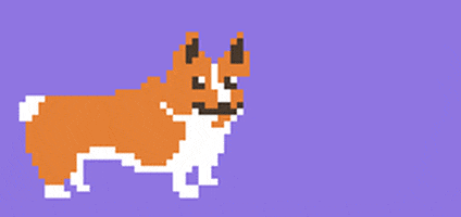 Corgi Gif GIFs on Giphy