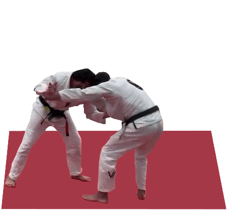 Virtue BJJ GIFs on GIPHY - Be Animated