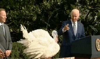 All the GIFs From This Year's White House Turkey Pardon by GIPHY News ...