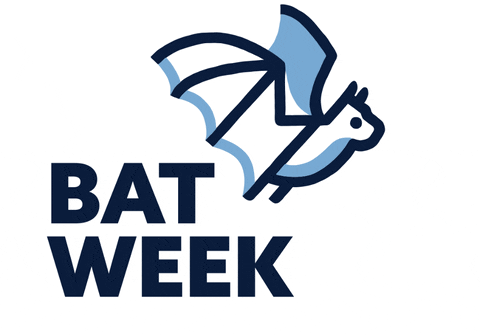 Bat Week GIFs on GIPHY - Be Animated