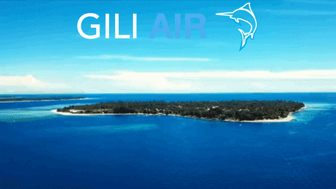 Gili GIFs - Get the best GIF on GIPHY