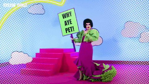 Why-aye GIFs - Get the best GIF on GIPHY