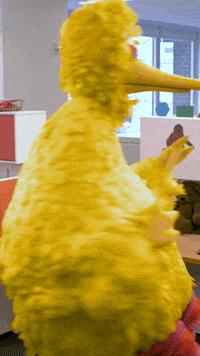 Bird Gif